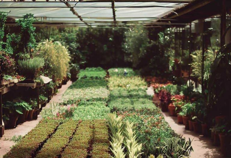 Plant Nurseries - Nature Wale